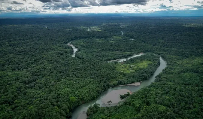 ÁREAS PROTEGIDAS EN QUIBDÓ Y ATRATO: DESCUBRE EL DRMI SELVA PLUVIAL ...